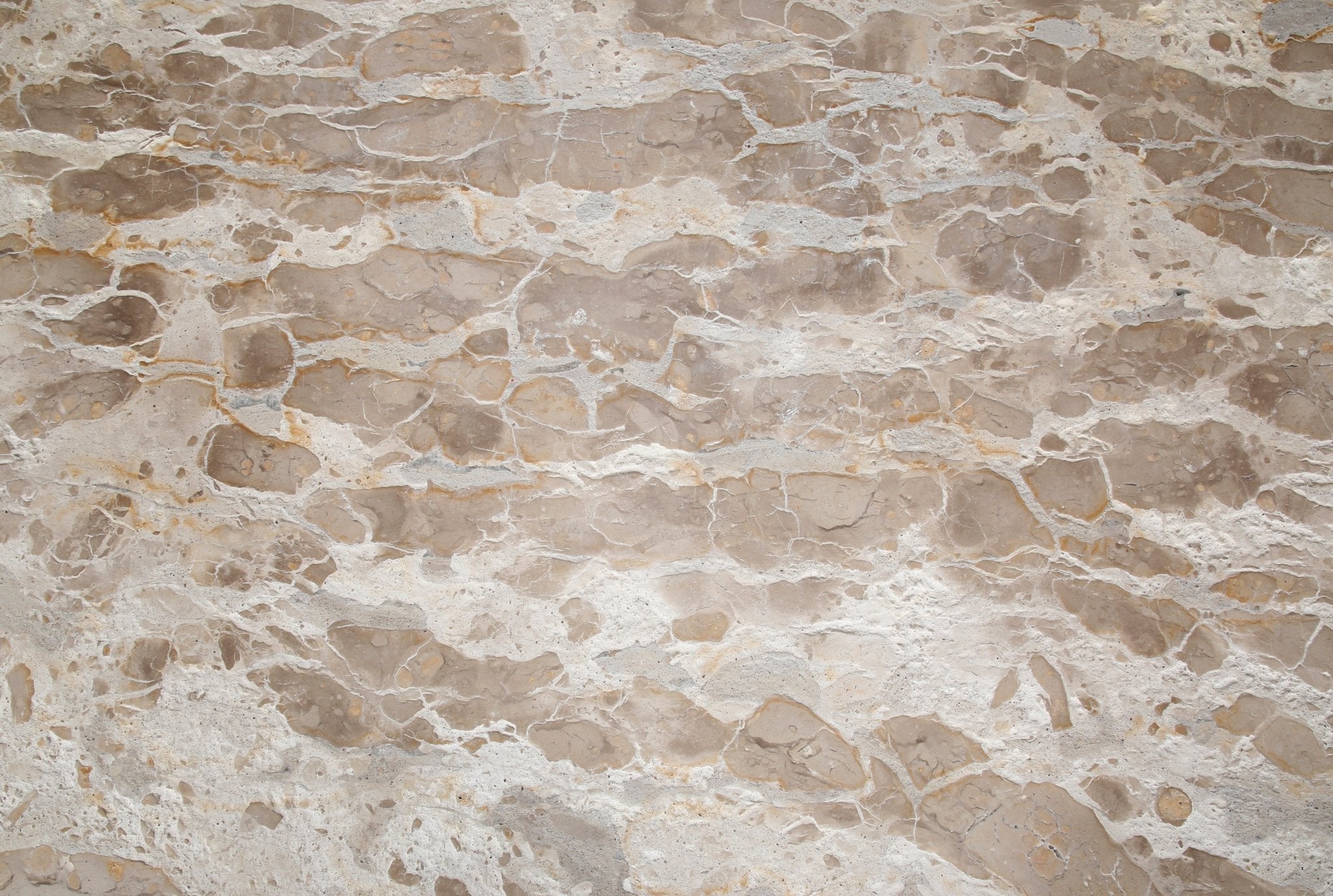 Fargo 54" Round Dining Table with Capri Beige Marble and Natural Base — World Interiors